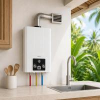 China Water Pressure 00208MPa Gas Geyser Wall Mounted Industrial Grade Hot Water Heater Suitable for Various Business Settings for sale