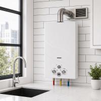 China Optional Protection Flue Gas Water Heater Including Digital Display Temperature Control and Instant Hot Water Heater Operation for sale