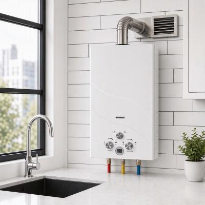China Optional Protection Flue Gas Water Heater Including Digital Display Temperature Control and Instant Hot Water Heater Operation for sale