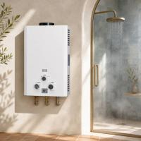China Optional Protection Tankless Gas Water Heater Offering Thermal Efficiency ≥85 Percent Designed for Continuous Hot Water Delivery for sale