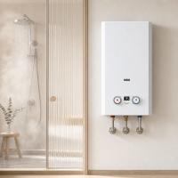 China White Flue Gas Water Heater Featuring G1/2 Connection Size Ideal for Kitchen Balcony Installation Location Long Lasting for sale