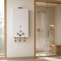 China LPG NG Flue Gas Water Heater Optional Protection Compatible with Kitchen Balcony Installation Easy Installation Process for sale