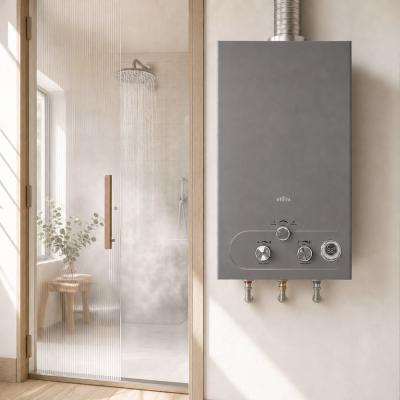 China Solenoid Valve Flue Gas Water Heater Including DC 3V Battery and Free Spare Parts Service Provided for Thermal Solutions for sale