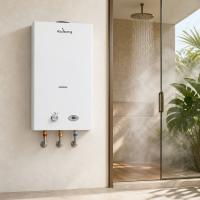 China Electronic Ignition Gas Geyser G1/2 Connection Size Heating Performance Suitable for Hospitality and Facility Management for sale