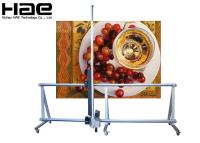 China Outdoor And Indoor Direct To Wall Inkjet Printer 3D Vertical Wall Printer Mural Decor for sale