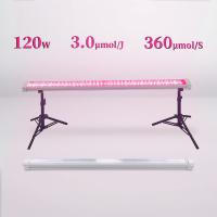 China Deep Red Spectrum LED Grow Light 120W LED Under Canopy Lights 730nm 660nm for sale