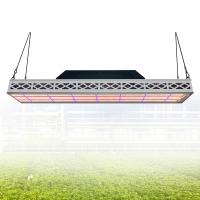 China Module Top LED Grow Lights 640W Full Spectrum LED Grow Lamp For Indoor Plants for sale