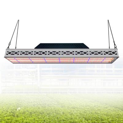China Module Top LED Grow Lights 640W Full Spectrum LED Grow Lamp For Indoor Plants for sale
