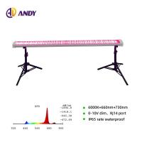 China Dimmable LM301H EVO LM281B 730nm 660nm Red LED Grow Light 4Ft 120W 150W for sale