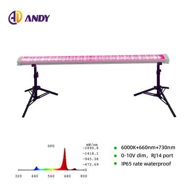 China Dimmable LM301H EVO LM281B 730nm 660nm Red LED Grow Light 4Ft 120W 150W for sale