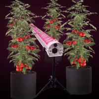 China 5-Year Warranty Customizable Dimmable Hydroponic Rack Deep Red Full Spectrum 4ft 120W/150W Under Canopy LED Grow Light for Bloom for sale