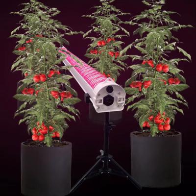 China 5-Year Warranty Customizable Dimmable Hydroponic Rack Deep Red Full Spectrum 4ft 120W/150W Under Canopy LED Grow Light for Bloom for sale
