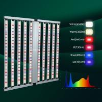 China Wholesale Samsung Lm301H EVO Lm281B 10 Bar 4*4 4*6ft Full Spectrum LED Plant Grow Light 1000W with UV IR for sale