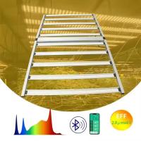 China 4X6ft 1000W Led Grow Light DLC ETL CE Certificated Daisy Chain Manufacturer for sale