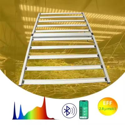 China 4X6ft 1000W Led Grow Light DLC ETL CE Certificated Daisy Chain Manufacturer for sale