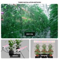 China Adjustable Height Grow Light Daisy Chain 0-10V Dimming 4ft 120 Watt LED Grow Lights Full Spectrum for sale