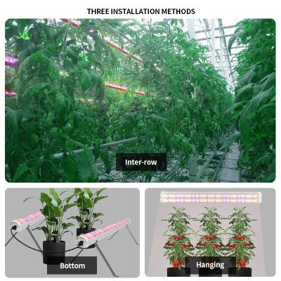 China Adjustable Height Grow Light Daisy Chain 0-10V Dimming 4ft 120 Watt LED Grow Lights Full Spectrum for sale