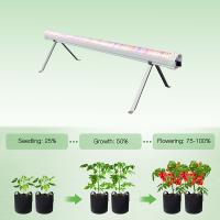 China IP65 Under Canopy Grow Lights Hydroponics Commercial LED Grow Light For Vertical Farming for sale