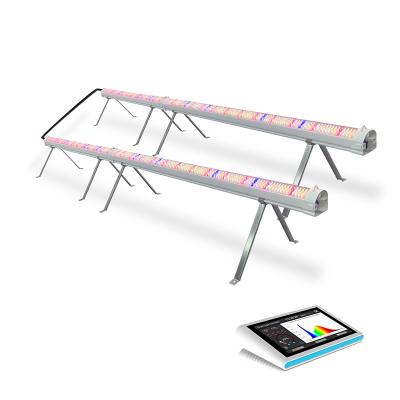 China Dimmable Vertical Farmer Samsong Lm301h 281b Full Spectrum Far Red Inter-raw Under Canopy Led Grow Light Bar 120w for sale