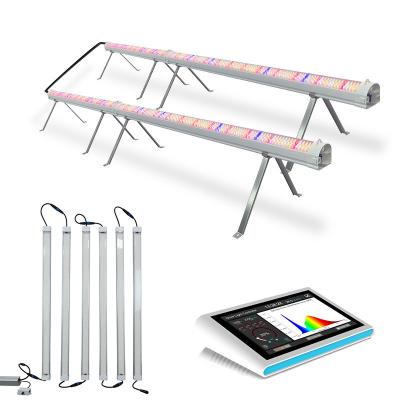 China Height Adjustable Craft Farmer Inter-row Bar Under Canopy Red Blue Led Grow Lights 120W for sale