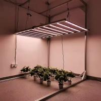 China LED Grow Light 1000W SAMSUNG LM301H EVO LM281B Pro Full Spectrum Dimmable Bar Style for Seed Tomato Hydroponic Bloom for sale