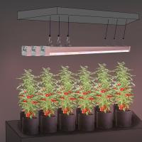 China Custom Under Canopy Grow Lights 4Ft Dimmable LED Grow Lights 120W for sale
