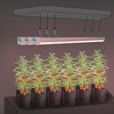 China Custom Under Canopy Grow Lights 4Ft Dimmable LED Grow Lights 120W for sale