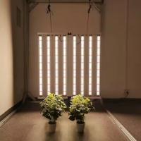 China ANDY Led Plant Grow Lights 1000W Customized Full Spectrum Samsung Lm301H EVO LM281B Pro Indoor for Seed Bloom Veg for sale