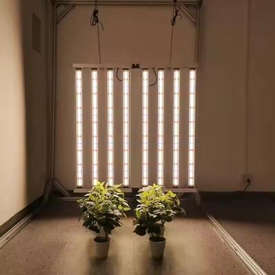 China ANDY Led Plant Grow Lights 1000W Customized Full Spectrum Samsung Lm301H EVO LM281B Pro Indoor for Seed Bloom Veg for sale