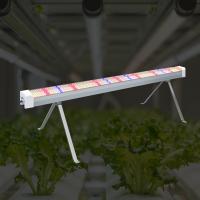 China Professional Hydroponic Full Spectrum Under Canopy Led Grow Lights 120W for sale