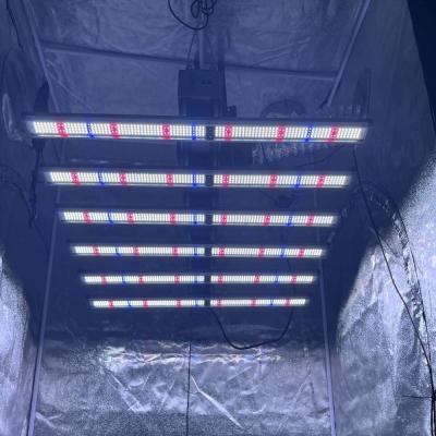 China Custom Full Spectrum Far Red LED Grow Light 500W Commercial Indoor Hydroponic Grow Lights for sale