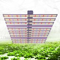 China 1060W 10 Bar LED Grow Light UV IR Full Spectrum LED Plant Light For VEG BLOOM for sale