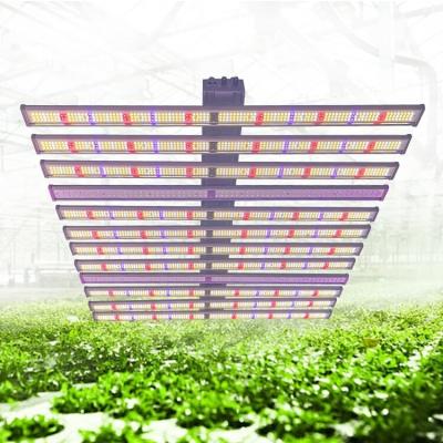 China 1060W 10 Bar LED Grow Light UV IR Full Spectrum LED Plant Light For VEG BLOOM for sale