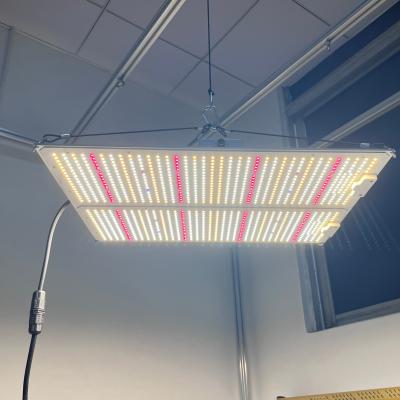 China 100W 200W 400w Full Spectrum LED Grow Light SAMSUNG LM301H EVO LM301B LM281B for sale