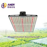 China 2x2ft 3x3ft Flower Grow Light Full Spectrum Veg And Bloom LED Grow Light for sale