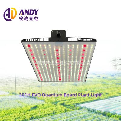China 2x2ft 3x3ft Flower Grow Light Full Spectrum Veg And Bloom LED Grow Light for sale