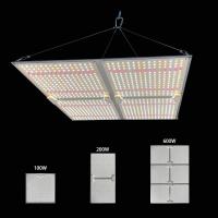 China Full Spectrum Light Panel 2x2 2x4ft Board 400W 300W 200W 100W Indoor Plant LED Grow Light for sale