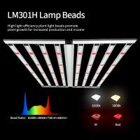 China ANDY Full Spectrum 3.0μmol 4×4ft 8 Bar 800W LED Grow Lights Samsung LM301H Chips for Vegetable Flowers for sale