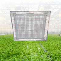 China Greenhouse Dimmable Quantum Board Grow Light For Grow Tent for sale