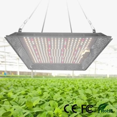 China ANDY Quantum Board Grow Light 100W 150W 300w Full Spectrum LED Grow Light for sale
