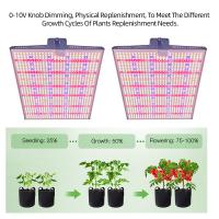 China Full Spectrum LED Quantum Board Grow Light 100W 200W 300W Grow Tent Grow Light for sale
