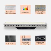 China Greenhouse Linear Grow Light 640 Watt LED Grow Light Full Specrum For Soccer Stadium for sale