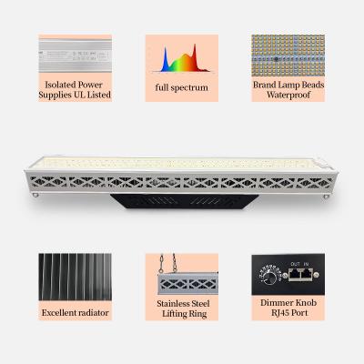 China Greenhouse Linear Grow Light 640 Watt LED Grow Light Full Specrum For Soccer Stadium for sale