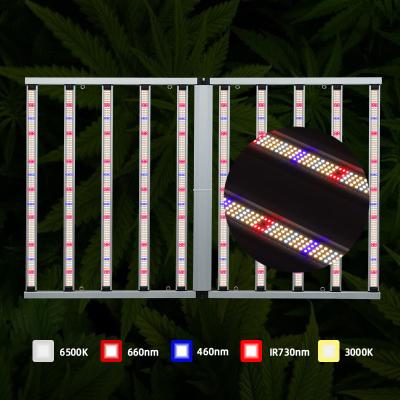 China ANDY 4x6ft 1000W Full Spectrum Plant Growing Light LED Horticulture Hydroponic Dimmable LM301H EVO LM281B for Indoor Veg for sale