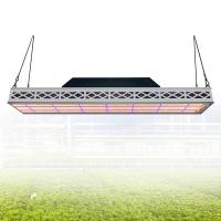 China Soccer Field Sports Top LED Grow Lights Customized 640W LED Grow Light Waterproof IP67 for sale