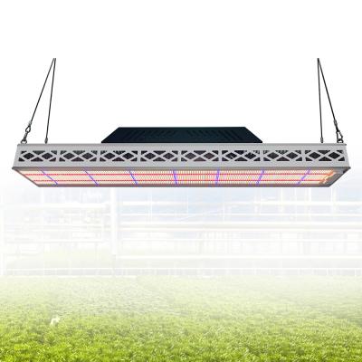 China Soccer Field Sports Top LED Grow Lights Customized 640W LED Grow Light Waterproof IP67 for sale