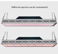 China 640W Top LED Grow Lights Full Spectrum Plant Growth Lamp For Greenhouse Seedling Flowering for sale
