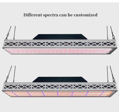 China 640W Top LED Grow Lights Full Spectrum Plant Growth Lamp For Greenhouse Seedling Flowering for sale