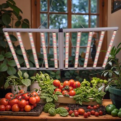 China Full Spectrum 1000W LED Grow Lights SAMSUNG LM281B Greenhouse Indoor Plant Chili Veg Bloom Plant Growing Lights for sale