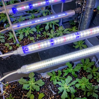 China 18W 20W 25W 28W 36W LED Grow Light Tubes Waterproof 3ft 4ft T5 T8 Lighting Fixture PVC Body for sale
